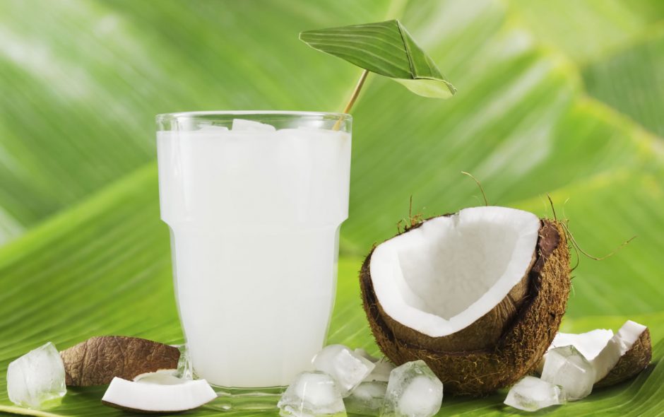El Coco: Aportes Nutritivos | Comida Ecológica y Biológica