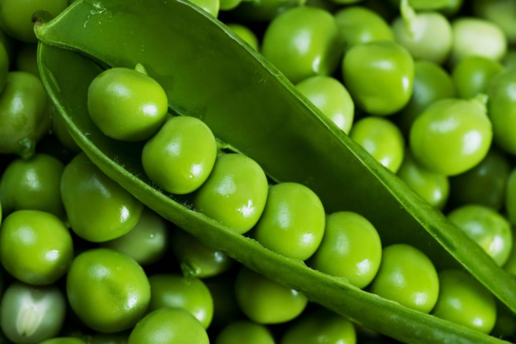 Guisantes en la Dieta | Alimentación Saludable